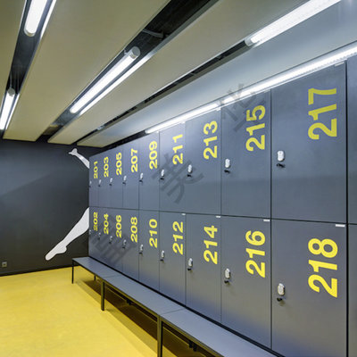 Factory Direct Sale Simply Water Resistant Locker
