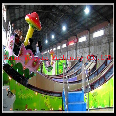 amusement park  double wave rides  newest for sale supplier
