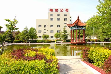 ANQIU EAGLE CELLULOSE CO., LTD