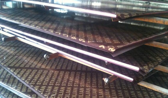 12/15/18mm 4X8 3X6 Hot Sell High Quality Marine Plywood Film Faced Plywood