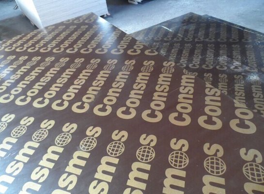 12/15/18mm 4X8 3X6 Hot Sell High Quality Marine Plywood Film Faced Plywood