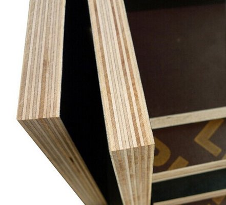 Supply 18mm 4X8 3X6 Black Cheap Film Faced Plywood for Construction & Real Estate