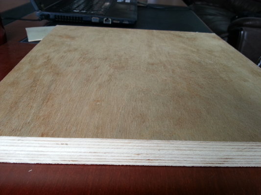 Supply 5mm Environmental BB/CC Grade Birch Plywood