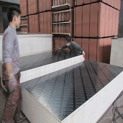 Factory Direct Sales Post Forming Brown/Black 18mm 4X8 Film Faced Plywood for Building Materials