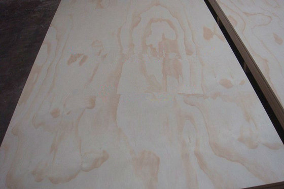 Supply 13mm 4X8 High-Quality Green Pine Wood Veneer Plywood (used as highchairs)