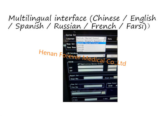 Diagnostic System Full Digital Color Doppler Ultrasound Scanner (YJ-U60)