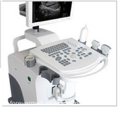 Yj-U370t Full-Digital Trolley Ultrasound Diagnostic Scanner