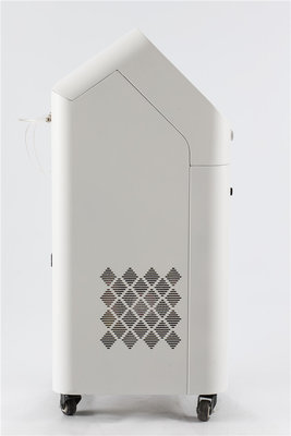 Salon Spa Oxygen Facial Equipment , Portable Skin Care Oxygen Facial Machine