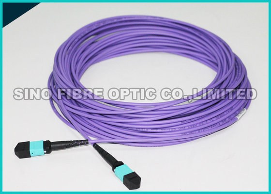 Violet 100G MPO Fiber Optic Cable Multimode 24 OM3 Optic Trunk  LSZH Cable
