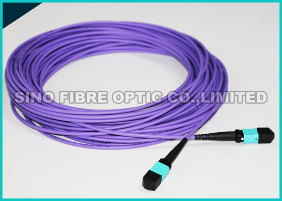 Violet 100G MPO Fiber Optic Cable Multimode 24 OM3 Optic Trunk  LSZH Cable