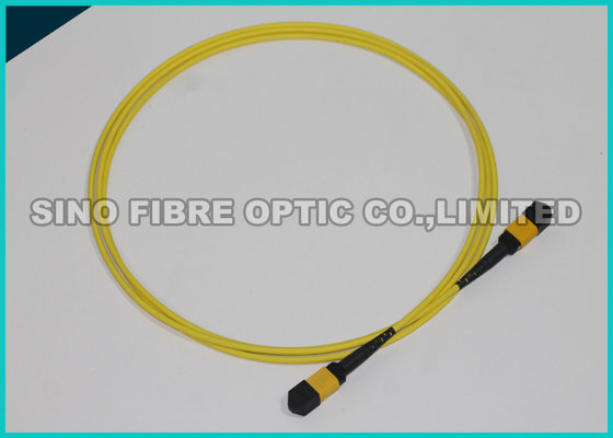 Yellow Jacket Female MPO 24 Fiber Cable Single Mode No Pin 3.0mm APC Polish