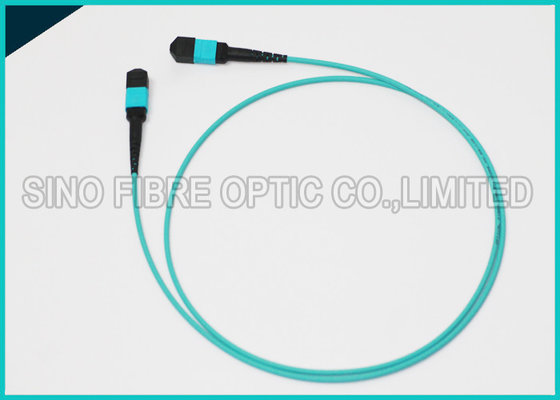 Fiber MPO MTP Optic MM OM3 Patch Cable 40 Gbps Protocol 12 f.o. MT Ferrule Contact