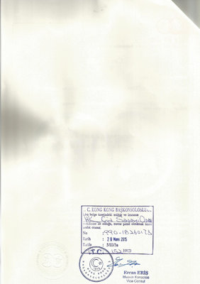 Turky exporter registration form/Hong Kong embassy certification /3 working days.